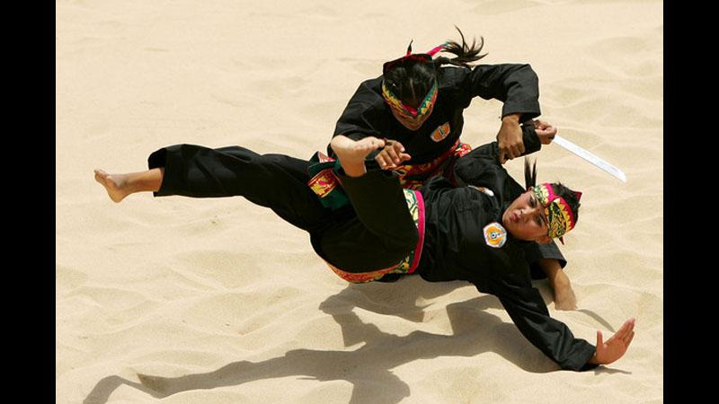 11 Atlet Pencak Silat Diserang Tomcat - INDOSPORT