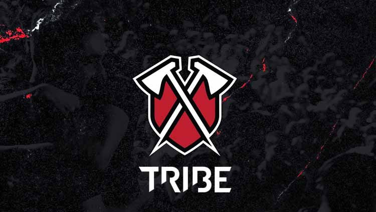 Tribe Gaming, Tim eSports Papan Atas para YouTuber Elite Dunia - INDOSPORT